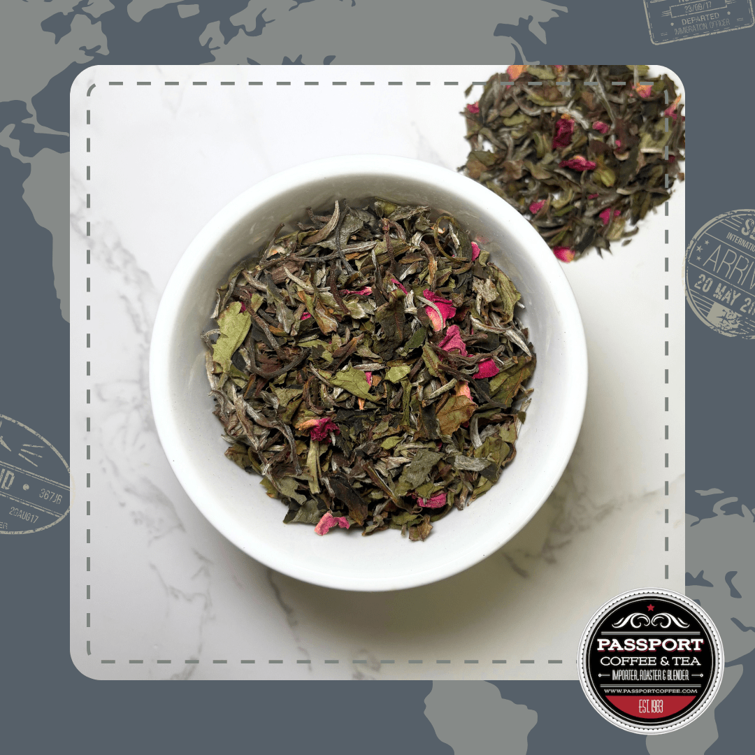 Mango White Tea – Passport Coffee & Tea - Shop